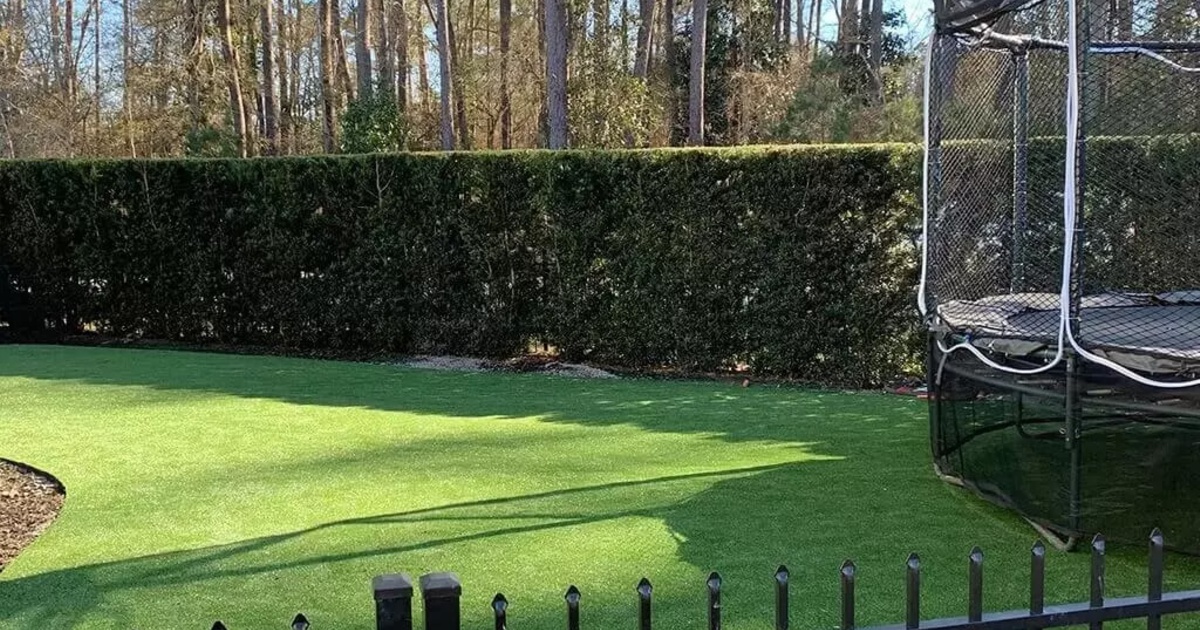 Beautiful play area for dogs and kids - FusionTurf